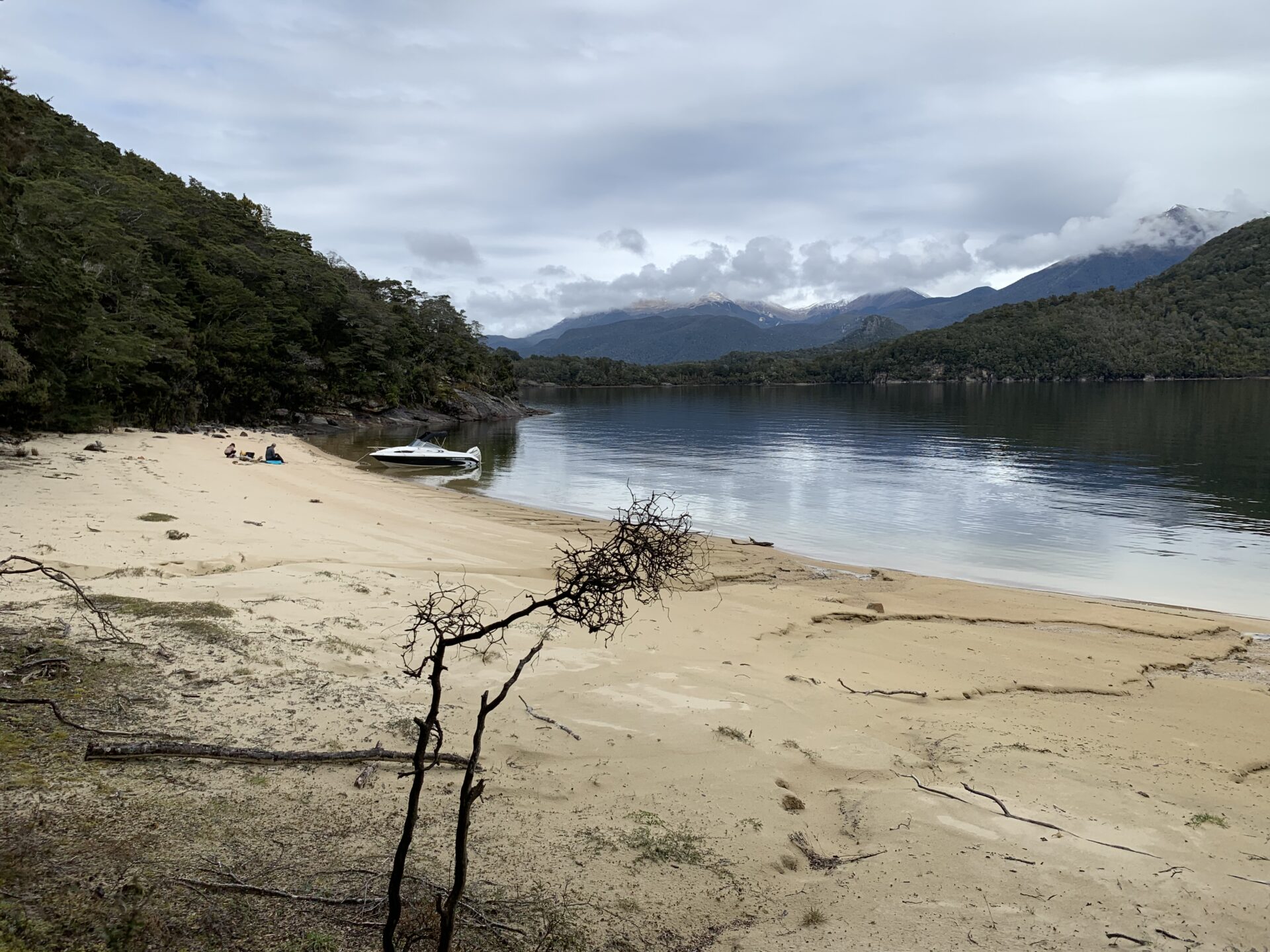 About Manapouri Water Taxi | Fiordland's Trusted Water Transport